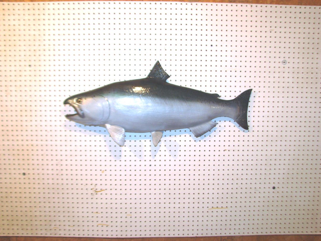 Salmon Hand Carved King Replica Wall Mount Sculpture Taxidermy Trophy ...