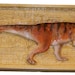 Chainsaw Carving Bas-relief T-rex Hand Carved Dinosaur Rustic - Etsy
