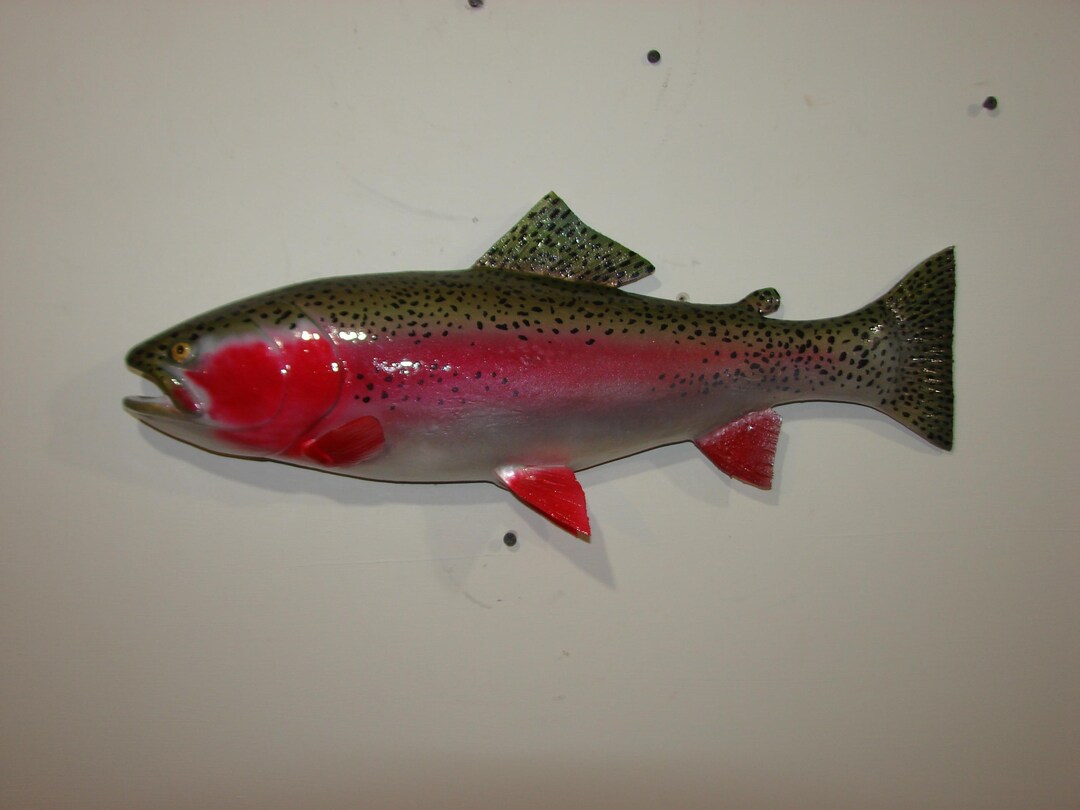 20" Rainbow Trout Hand Carved Replica Wall Mount Sculpture Taxidermy ...