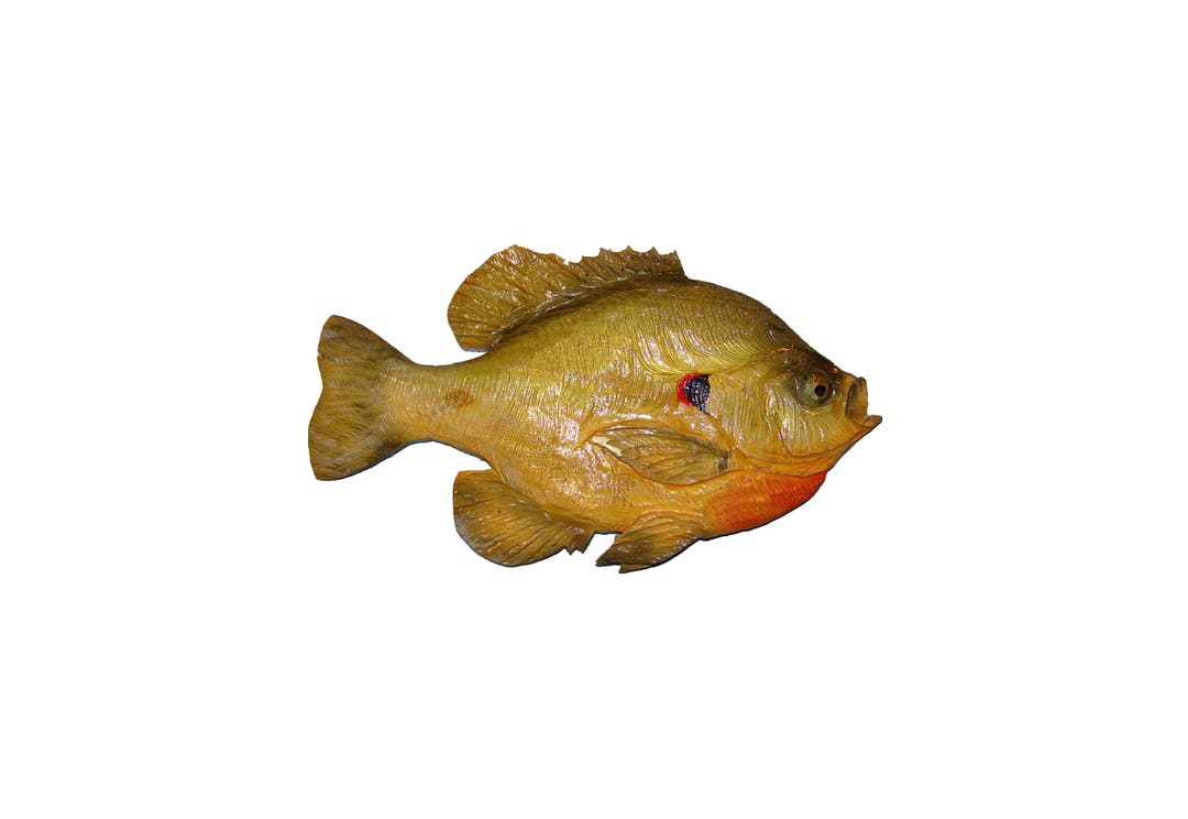 Carved Shellcracker Chainsaw Carving Bluegill 14 Bream Fish Fishing ...