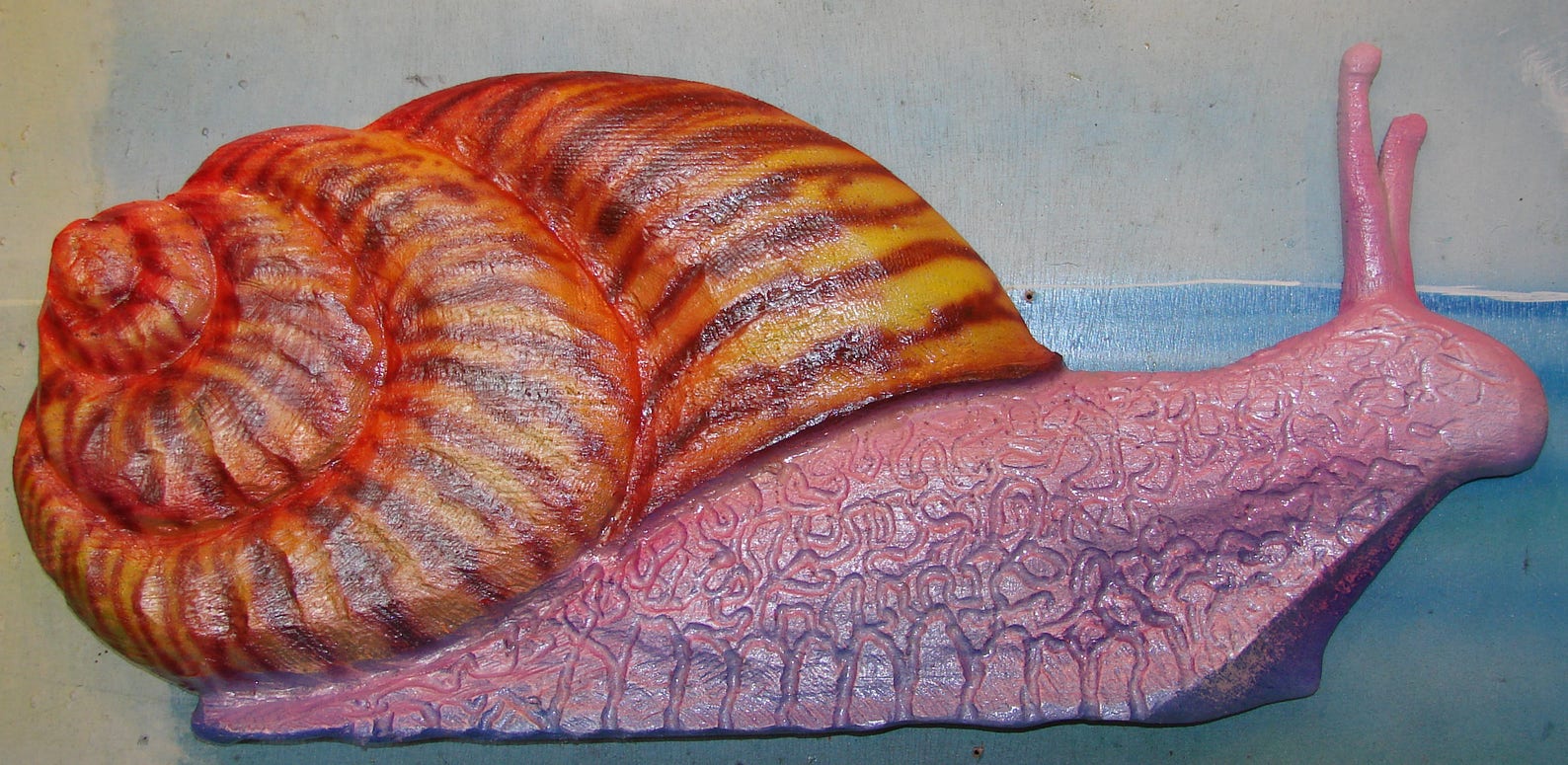 Chainsaw Carving Sea Snail Hand Carved Shell Mollusk Escargot - Etsy