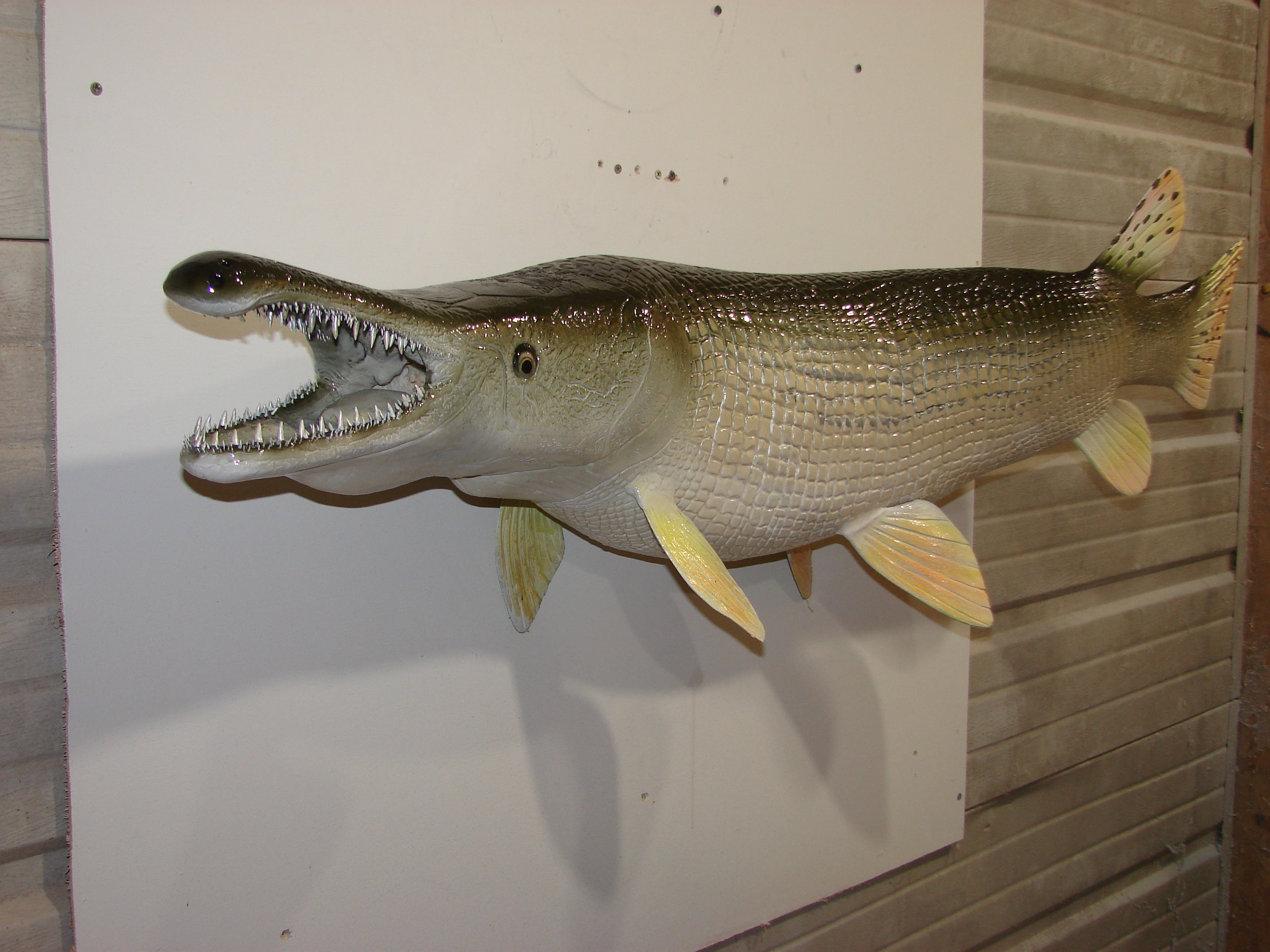 Another MONSTER 49 3D Alligator Gar Hand Carved Sculpted Signed ...