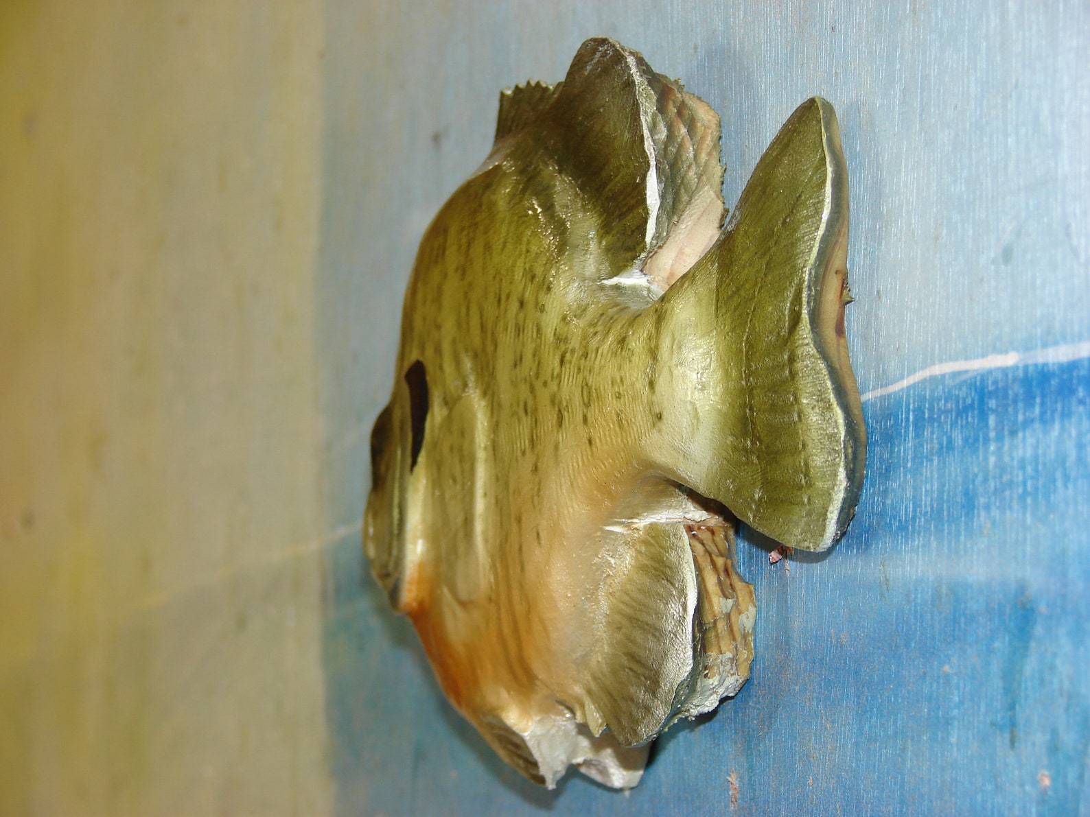 Carved Bluegill 2 Chainsaw Carving Bream Shellcracker Fish Fishing ...