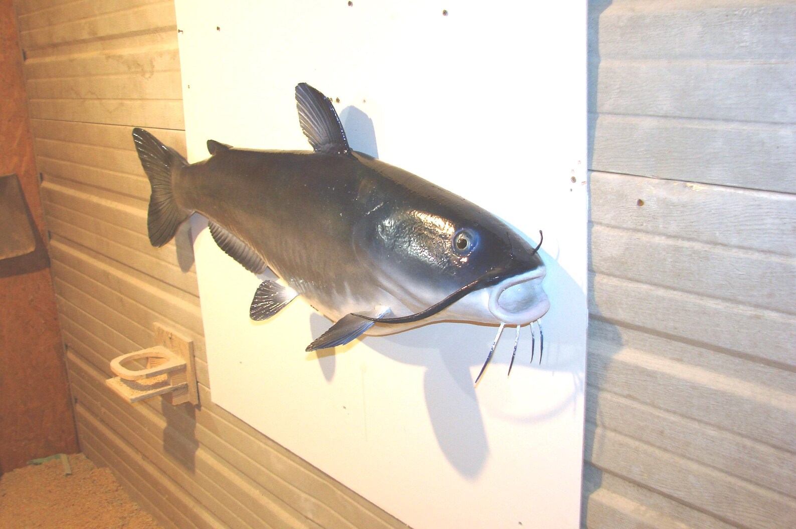 Catfish Carving Wall Mount Rustic Cabin River Lake Fish Wall Art Home ...