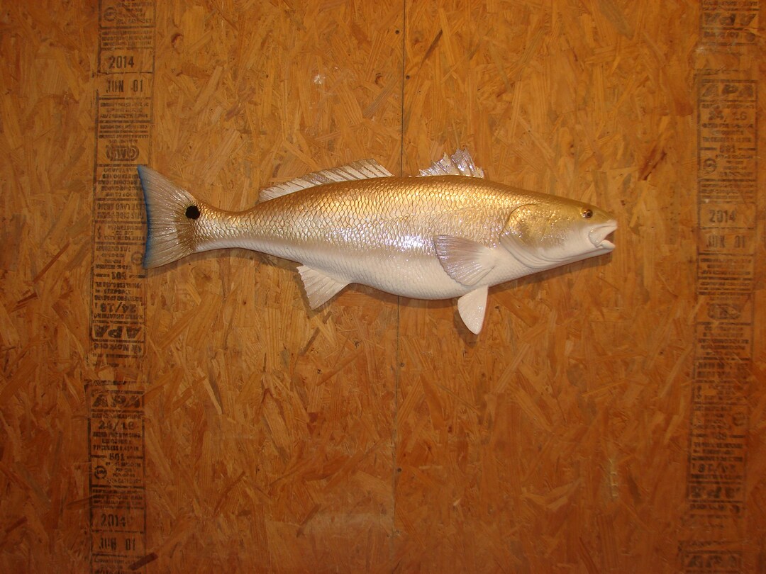 Redfish Hand Carved Replica Wall Mount Drum Sculpture Taxidermy Trophy ...