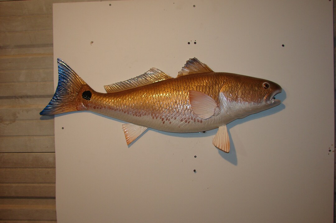 Redfish Hand Carved Replica Wall Mount Drum Sculpture - Etsy