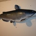 Catfish Carving Wall Mount Rustic Cabin River Lake Fish Wall - Etsy
