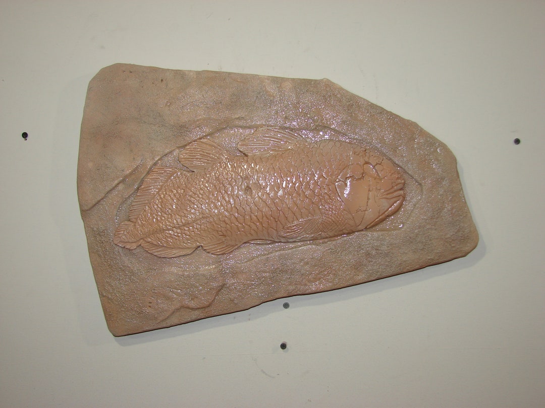 Art Carving Coelacanth Fossil Plate Hand Carved Fish Wall Mount Replica ...