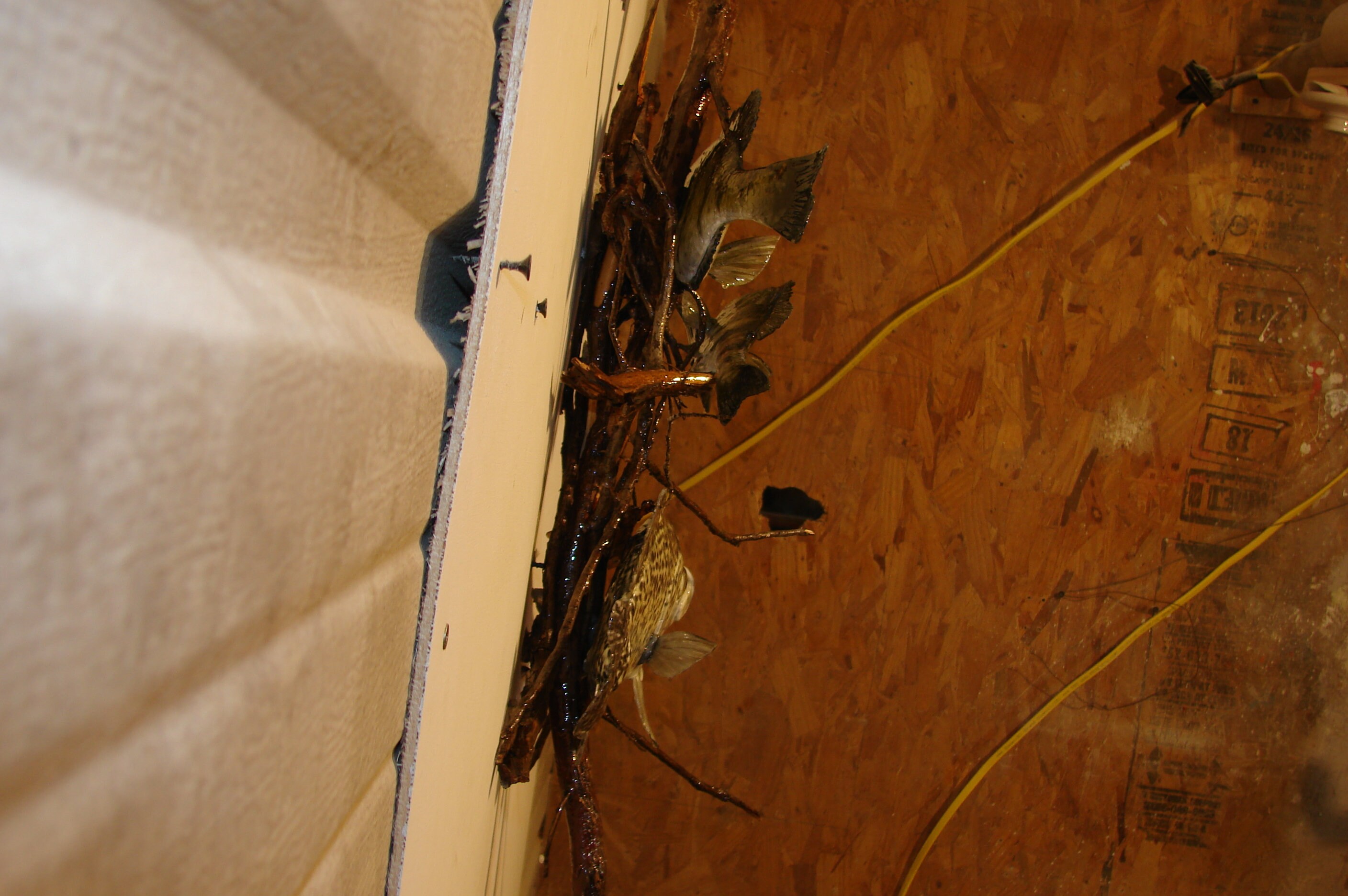 Crappie Bluegill Wall Display Bass Trout Musky River Home Decor Hand ...