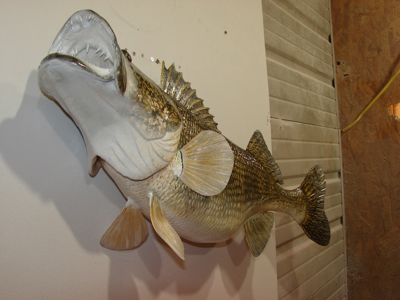 Walleye Replica Taxidermy Alternative Wall Mount Trout Pike Bass Mahi ...