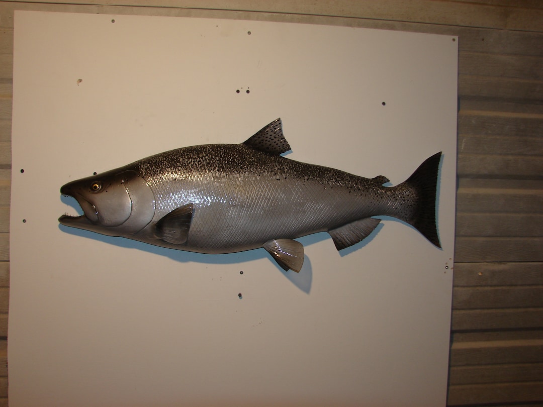 King Salmon Hand Carved Replica Wall Mount Sculpture Taxidermy Trophy ...