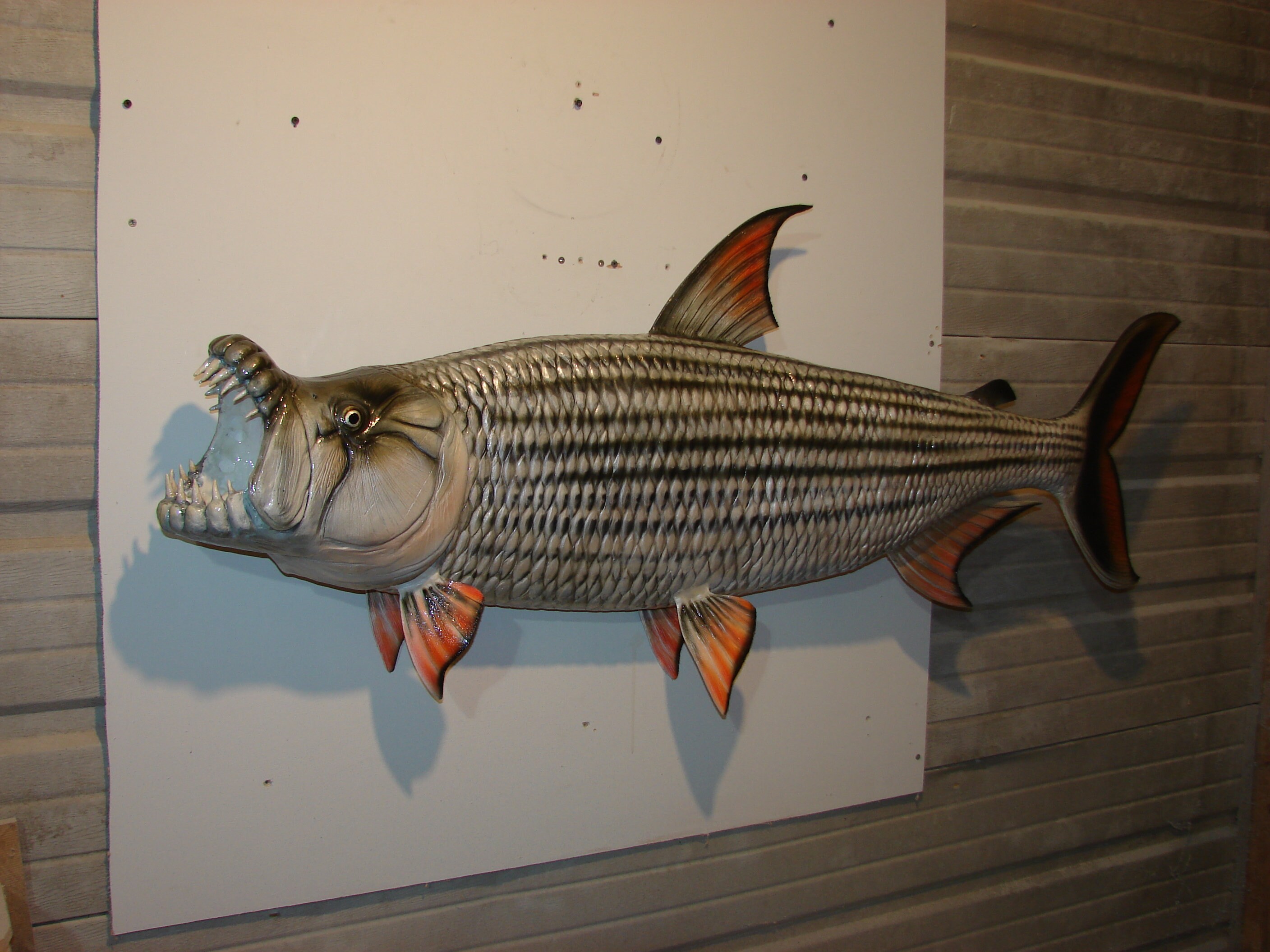 53 African Tigerfish Hand Carved Sculpted Replica Mount Wall Art ...