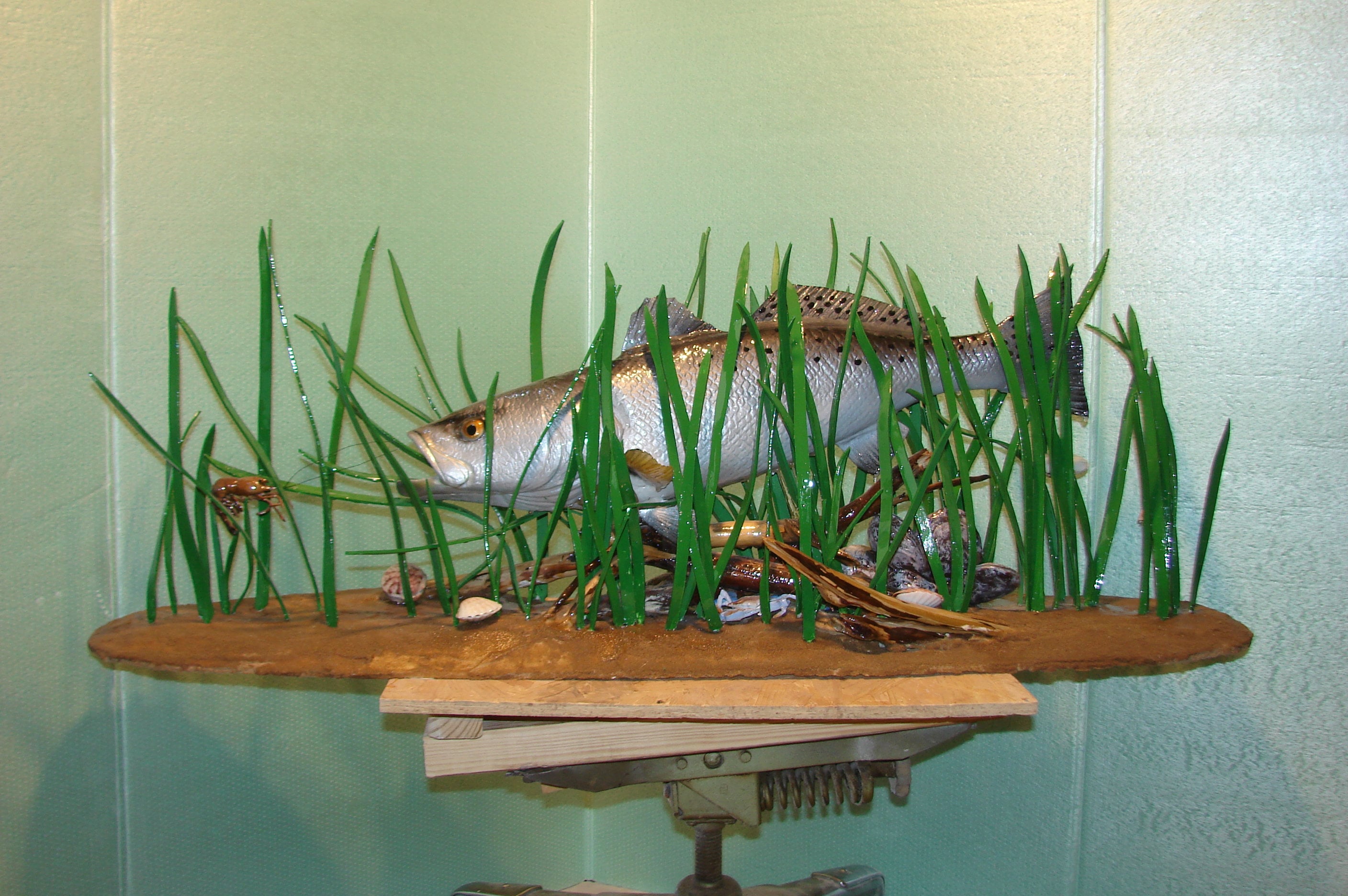 Speckled Sea Trout Hand Carved Replica Drum Sculpture Taxidermy Trophy ...