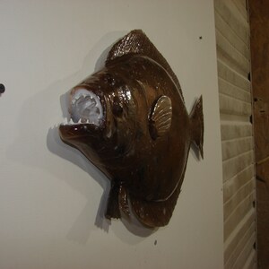 Flounder Fluke Wall Art Home Decor Sculpture Mount Taxidermy Fish ...