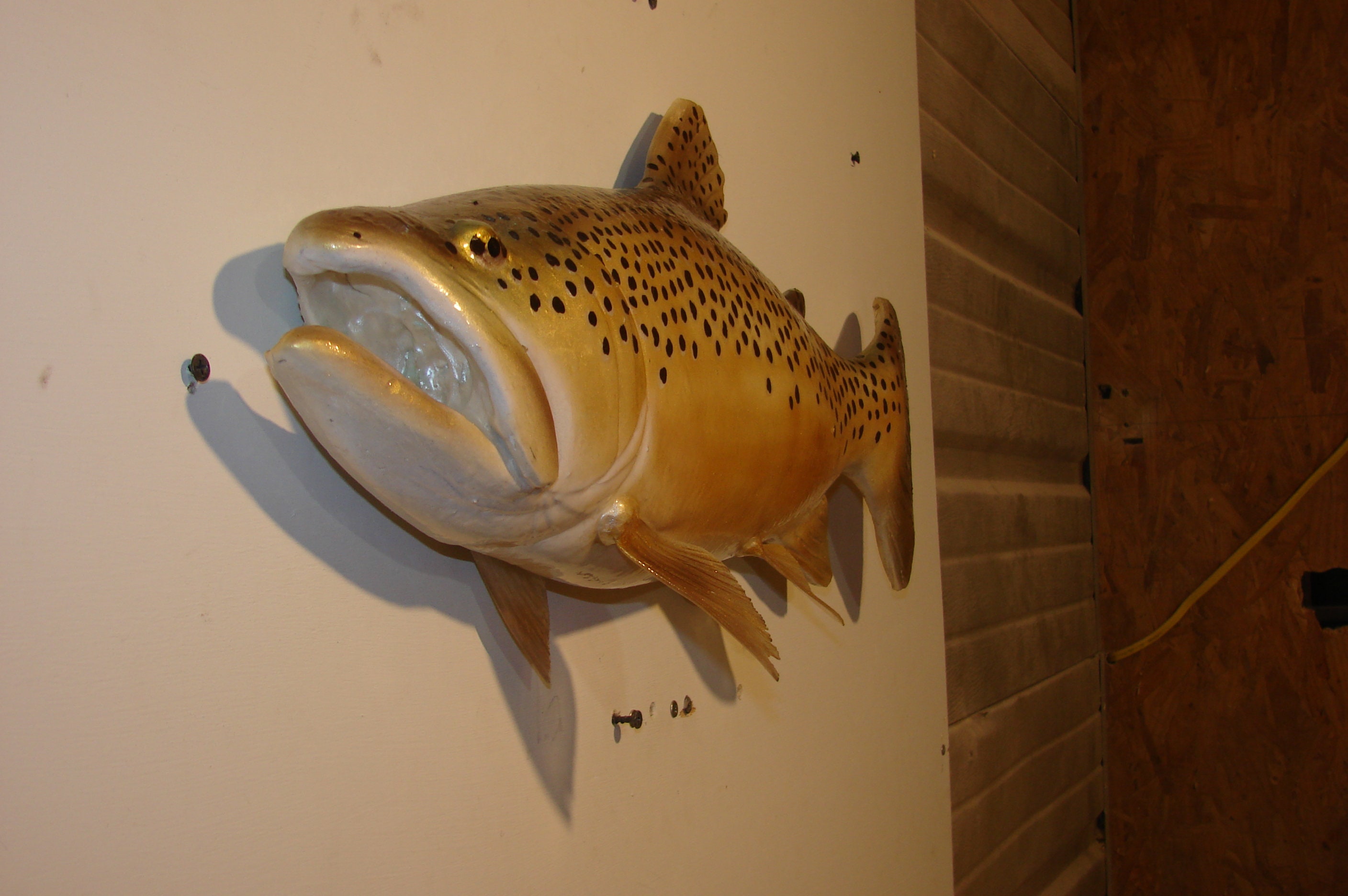 27 Brown Trout Hand Sculpted Carved Carving Wall Mount Man Cave Home ...