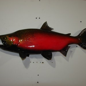 3d Coho Salmon Hand Carved Replica Wall Mount Sculpture Taxidermy ...