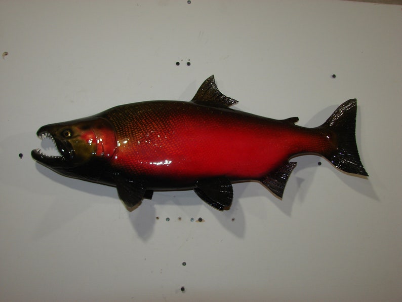 3d Coho Salmon Hand Carved Replica Wall Mount Sculpture Taxidermy ...