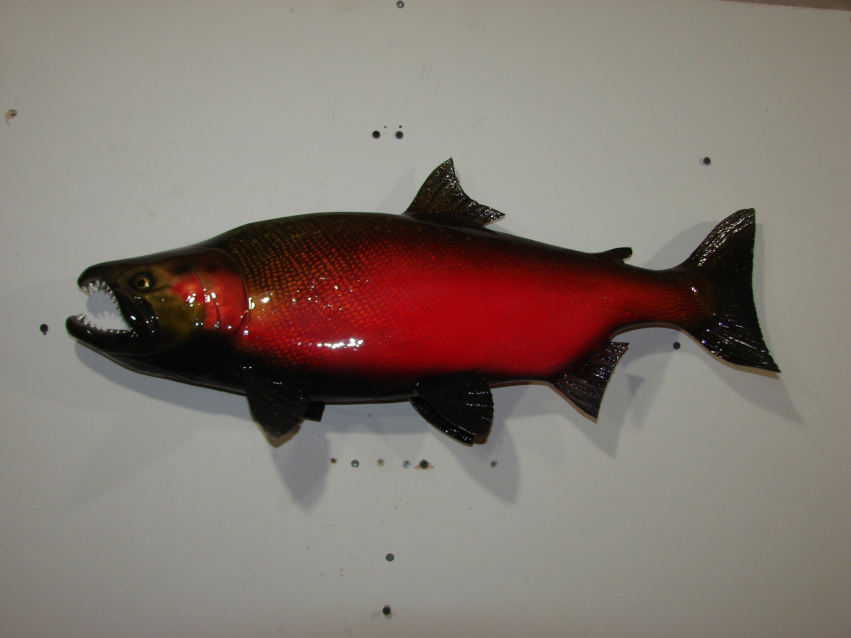 3d Coho Salmon Hand Carved Replica Wall Mount Sculpture Taxidermy ...