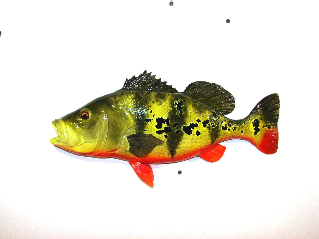 Peacock Bass Hand Carved Trout Mahi Redfish Snook Marlin Fish Cabin ...