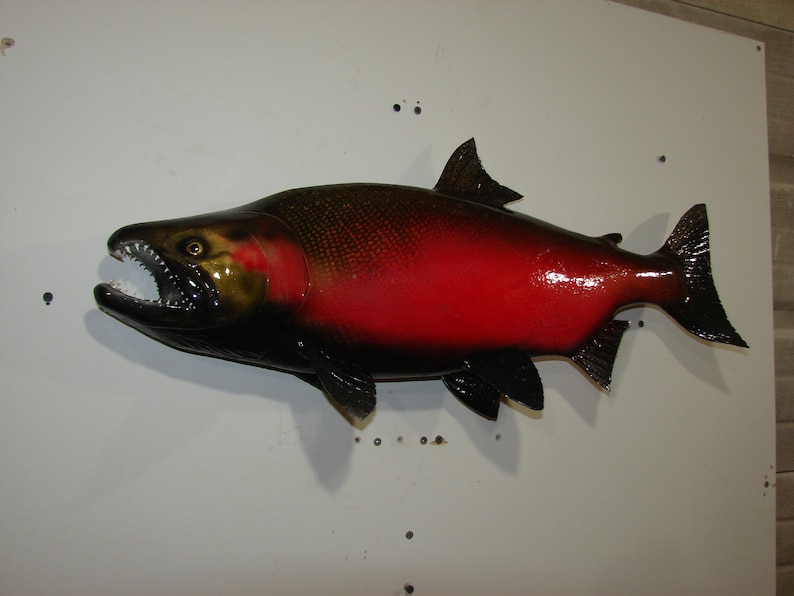 3d Coho Salmon Hand Carved Replica Wall Mount Sculpture Taxidermy ...