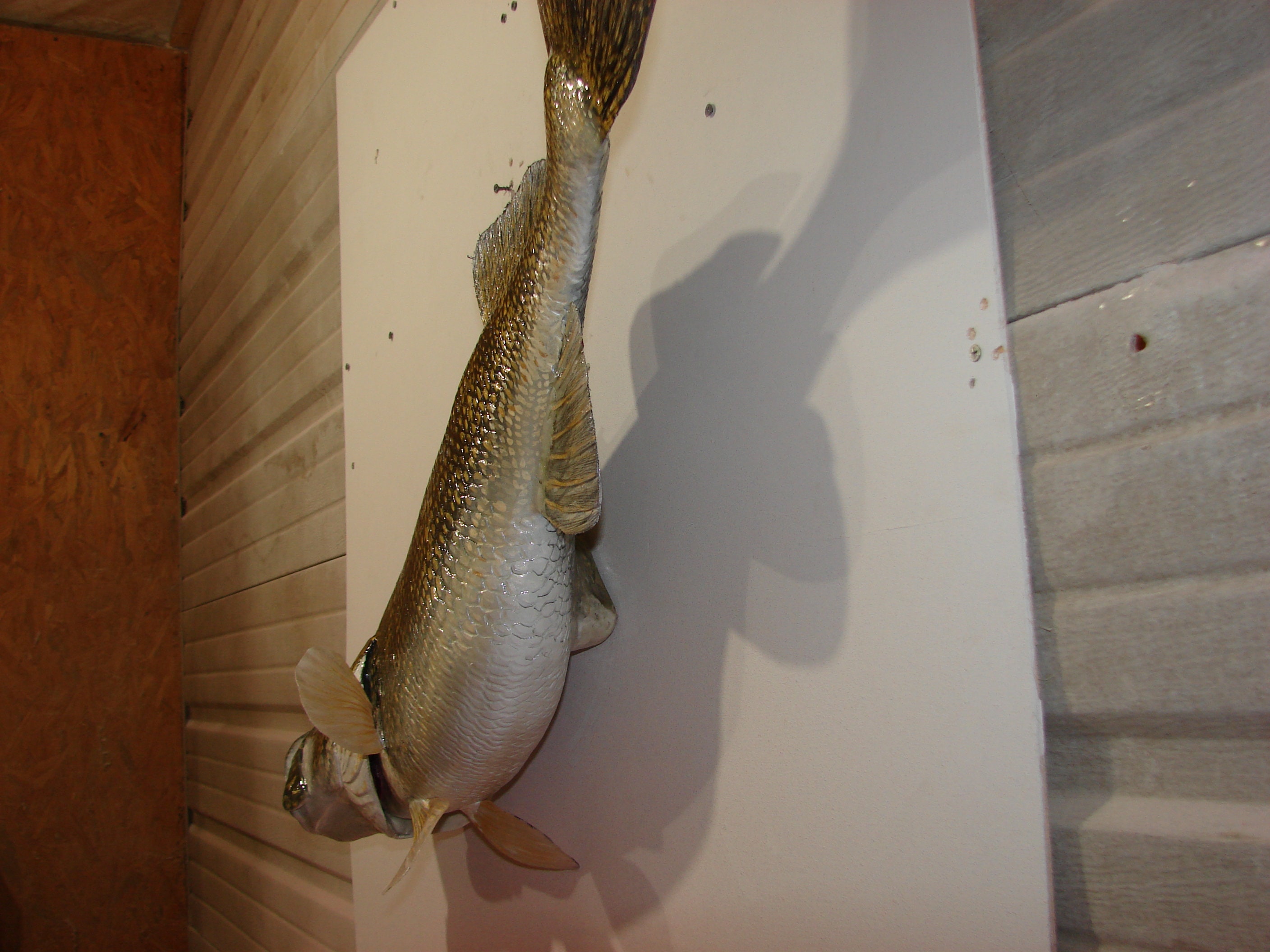 34 1/2 Walleye Hand Made Sculpture Carving Muskie Northern Pike Bass ...