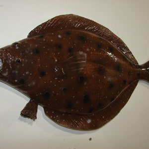 Flounder Fluke Wall Art Home Decor Sculpture Mount Taxidermy Fish ...