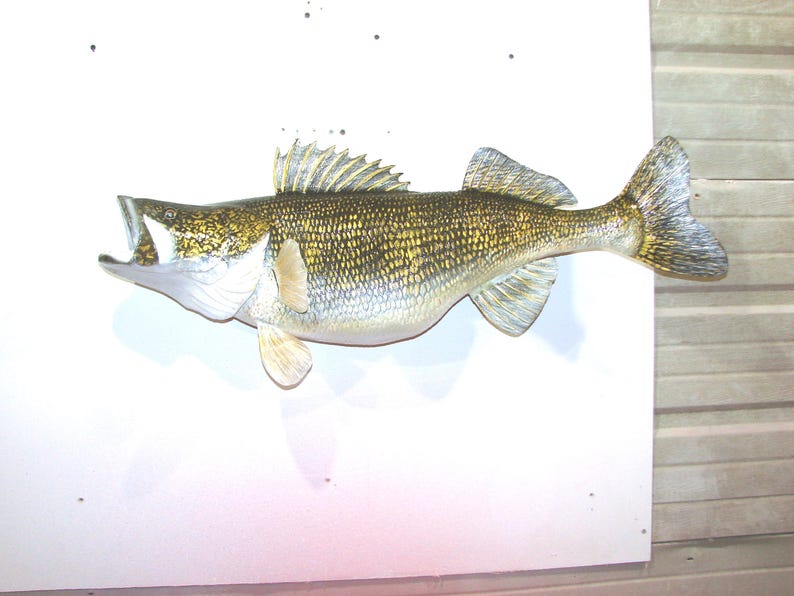 Walleye Replica Taxidermy Alternative Wall Mount Trout Pike Bass Mahi ...