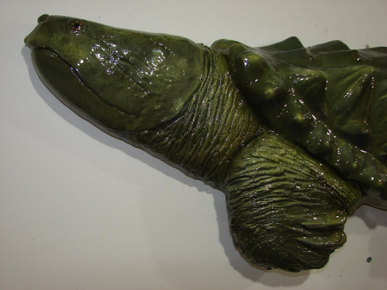 Hand Carved Alligator Snapping Turtle River Monster Wall Mount - Etsy