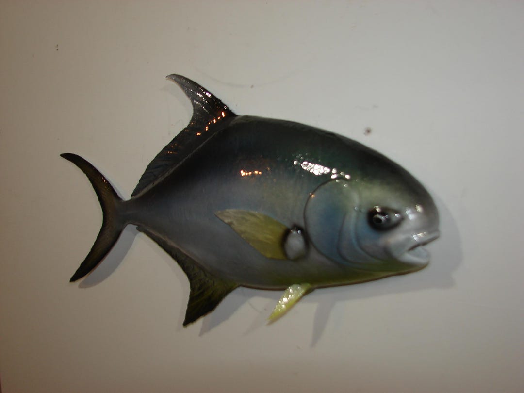 Florida Pompano Permit Mahi Surf Fishing Fish Mackerel Dolphin Replica ...