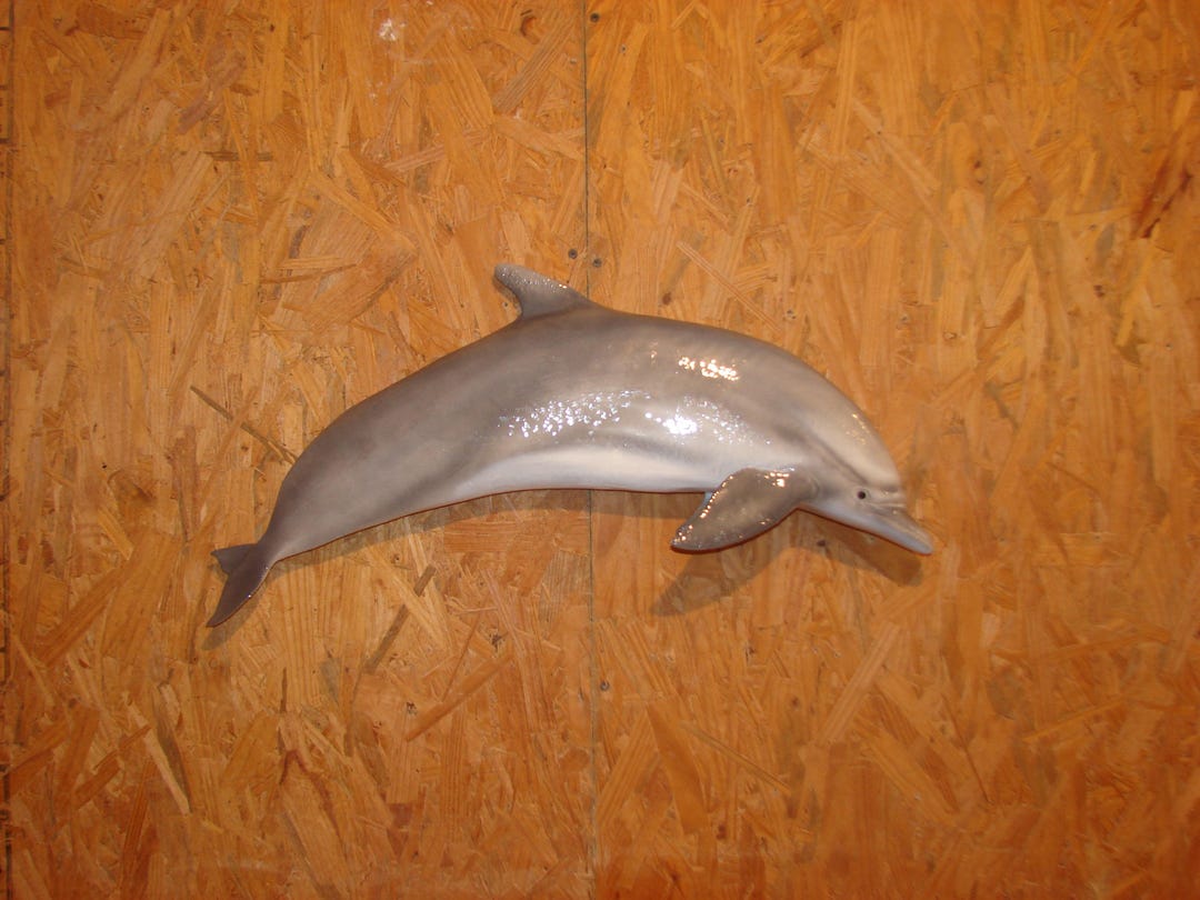24" Bottlenose Dolphin Sculpture Carved Porpoise Flipper Miami Dolphins ...