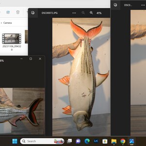 53" African Tigerfish Hand Carved Sculpted Replica Mount Wall Art ...