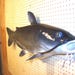 Catfish Carving Wall Mount Rustic Cabin River Lake Fish Wall Art Home ...