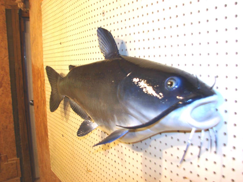 Catfish Carving Wall Mount Rustic Cabin River Lake Fish Wall Art Home ...