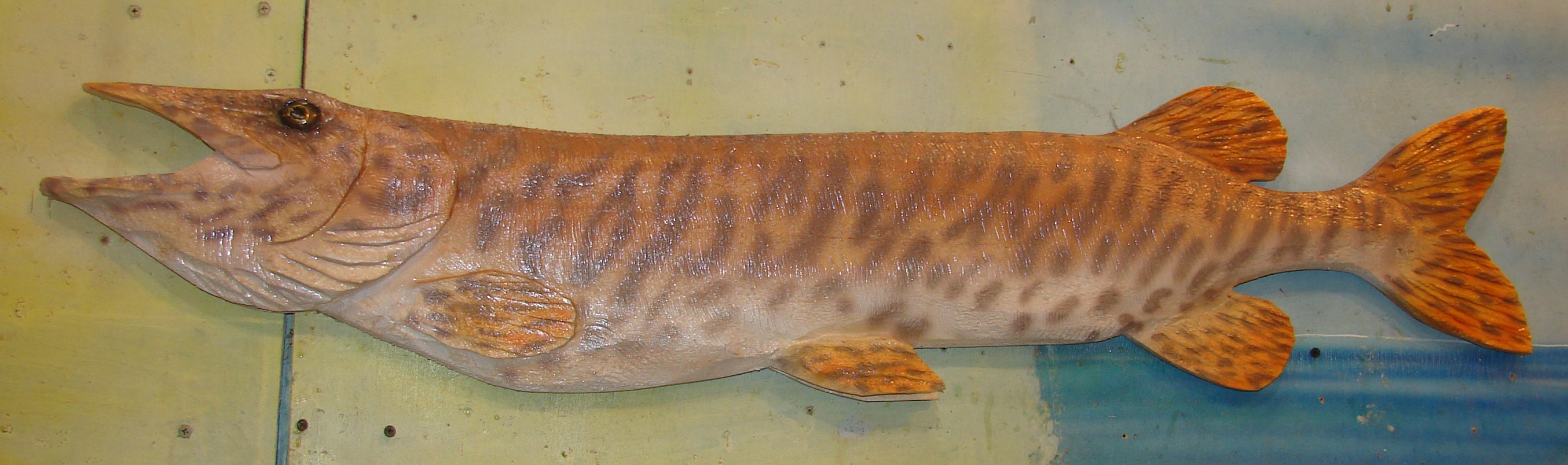 HUGE 44 Muskellunge Tiger Muskie Pike Original Wall Art by Brad Martin ...