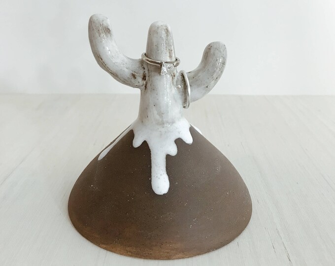 Cactus Window Box Jewelry Display, Cactus Jewelry Organizer, Jewelry ...