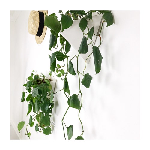 Pyramid Wall Planter Porcelain Geometric Minimal Wall - Etsy