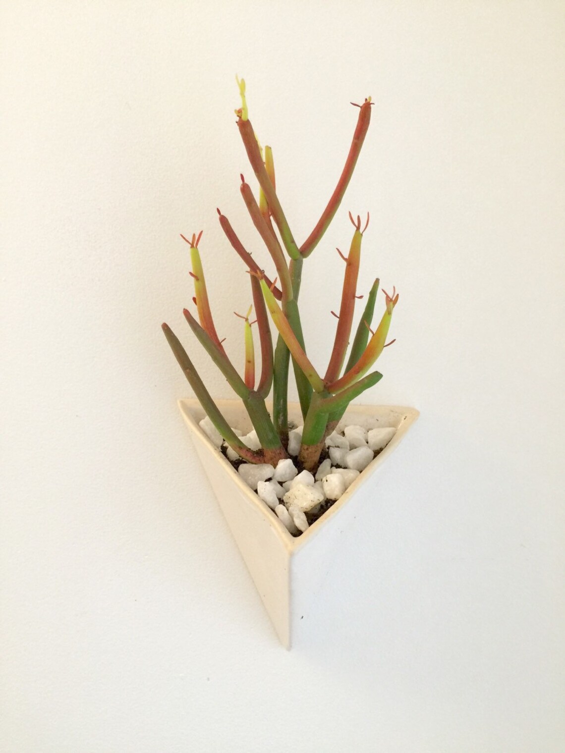 Pyramid Wall Hanging Planter Vertical Garden Modern Mid | Etsy