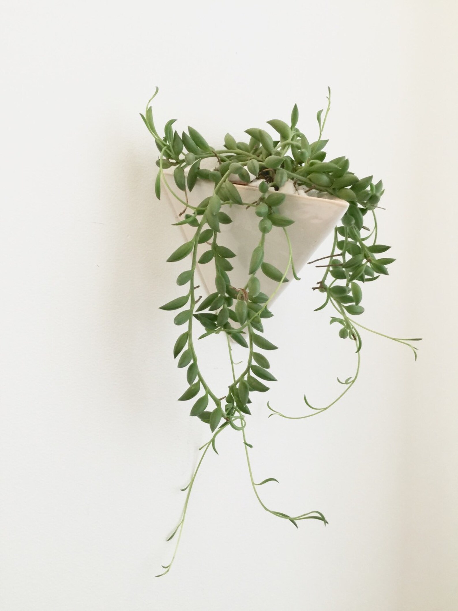 Pyramid Wall Planter Porcelain Geometric Minimal Wall - Etsy