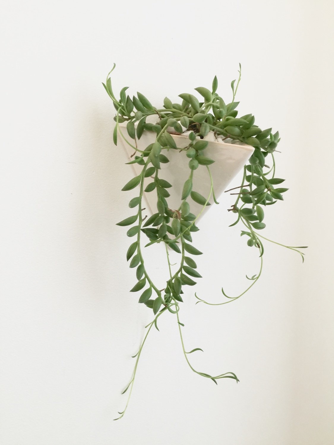 Pyramid Wall Planter Porcelain Geometric Minimal Wall - Etsy