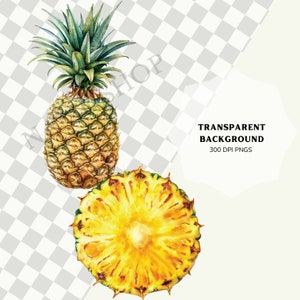 Pineapple Watercolor Clipart Png - Clip Art - Digital Png Tropical ...