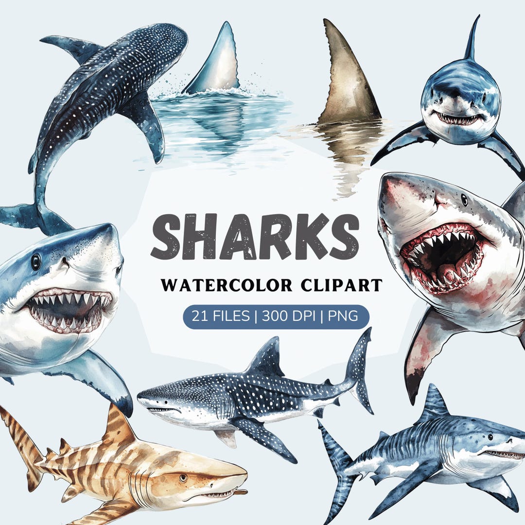 Watercolor Shark Clipart, Sharks Png, Watercolor Shark Images ...