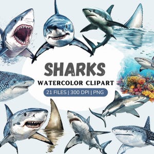 Watercolor Shark Clipart, Sharks Png, Watercolor Shark Images ...