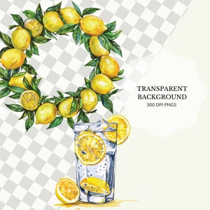 Watercolor Lemon Clipart | Lemonade | Cocktail Illustrations | Fruit ...