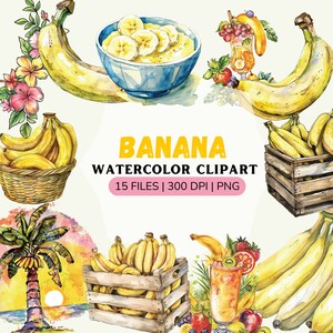 Watercolor Banana Clipart Bundle Png - Clip Art - Watercolour Bananas ...