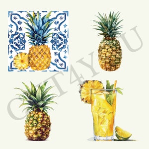 Pineapple Watercolor Clipart Png - Clip Art - Digital Png Tropical ...