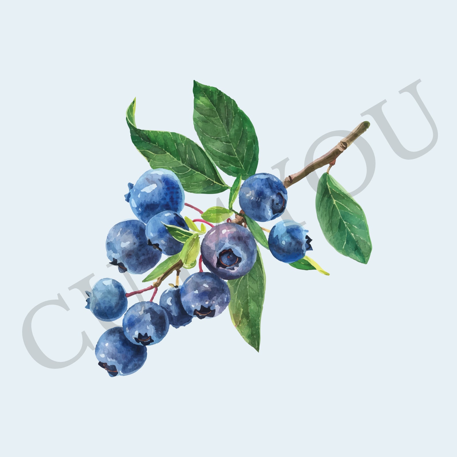 Clipart Blueberry Watercolor Png | Blueberries | Digital Png ...