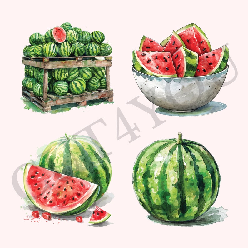 19 Clipart Watermelon Watercolor Png, Summer Clip Art, Lemonade, Melon ...