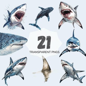 Watercolor Shark Clipart, Sharks Png, Watercolor Shark Images ...