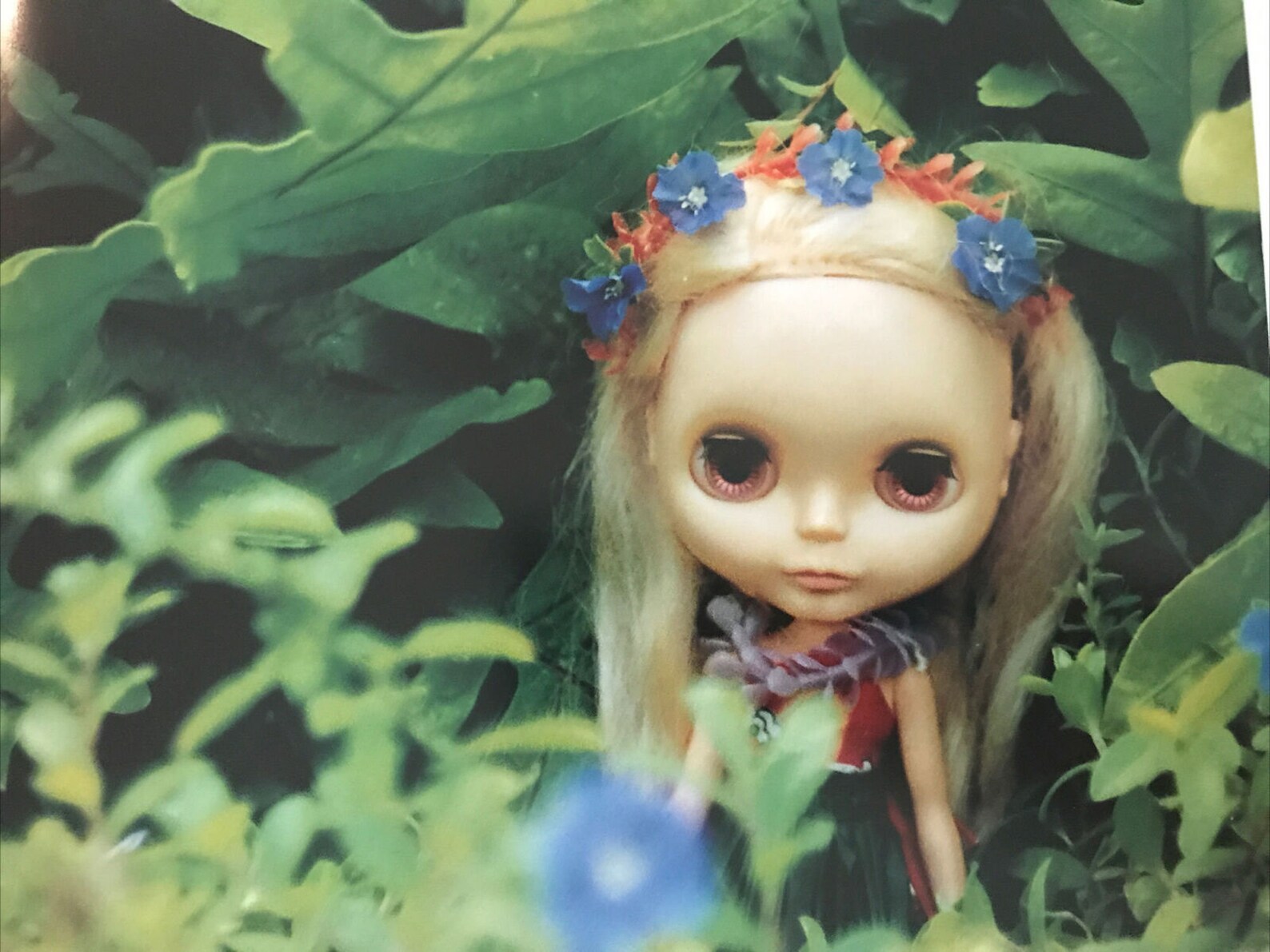 This is Blythe Doll Book Gina Garan 2000 Vintage 70s Mod - Etsy UK