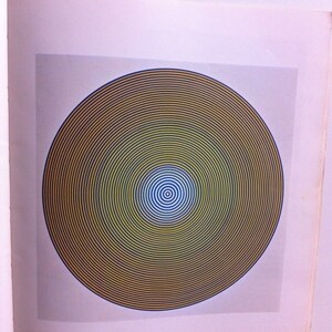 The Responsive Eye: 1965 Moma Op Art Exhibit Catalog - Etsy